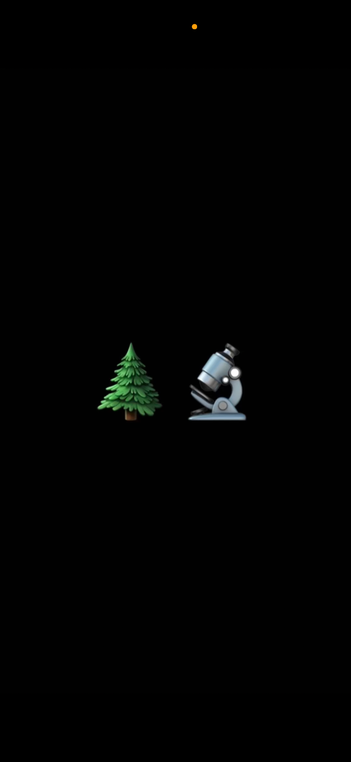 theforestlab